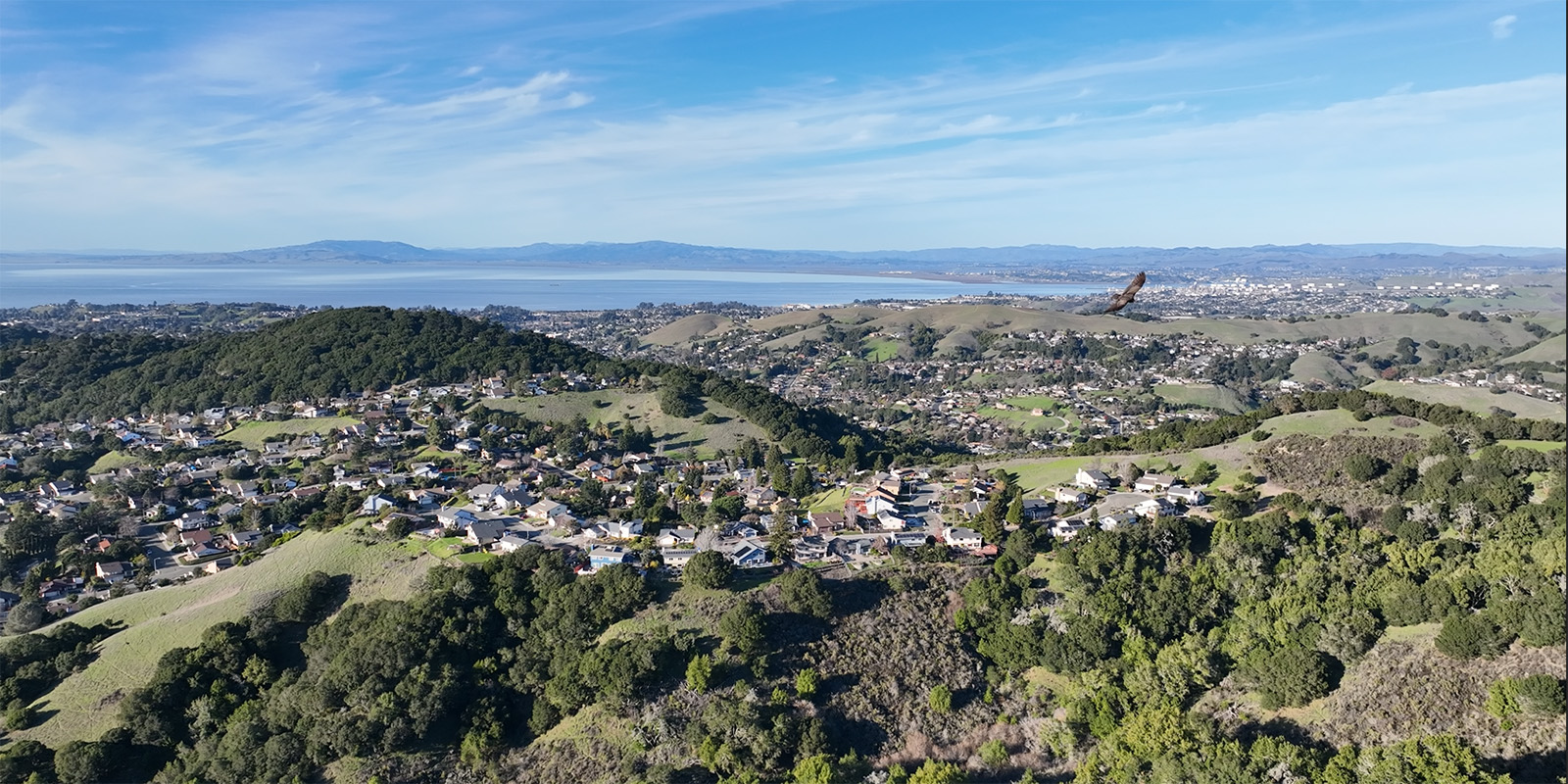 2020-2025 Strategic Plan -Welcome to the City of Pinole