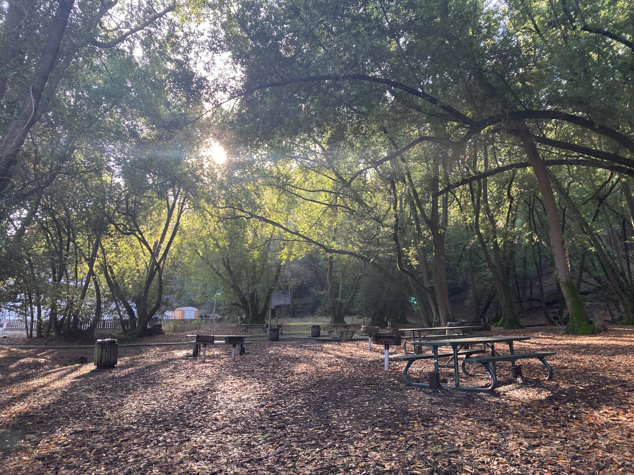 Fernandez park - Welcome to the City of PinoleWelcome to the City of Pinole